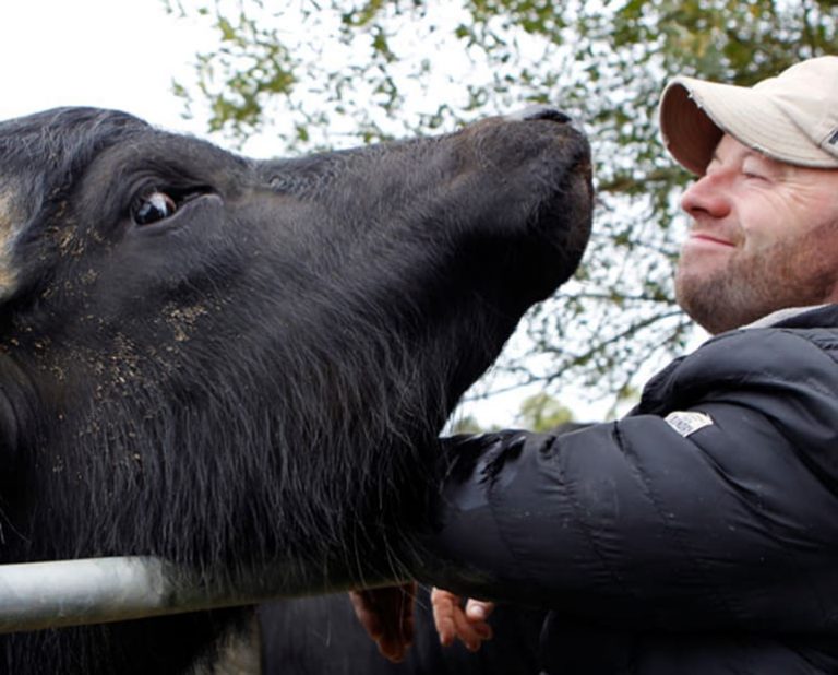 Macamore Buffalo Farm - Technology Gateways