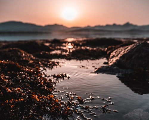 Enterprise Ireland Technology Gateway Network