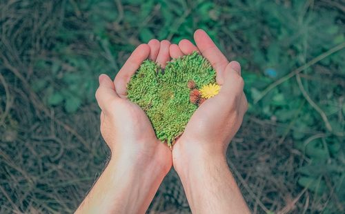 Technology Gateways: pathway to a more sustainable future - Technology ...